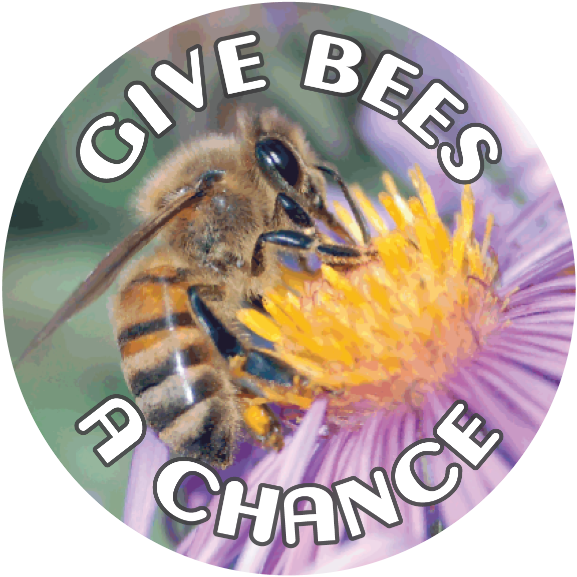 Give Bees A Chance Button